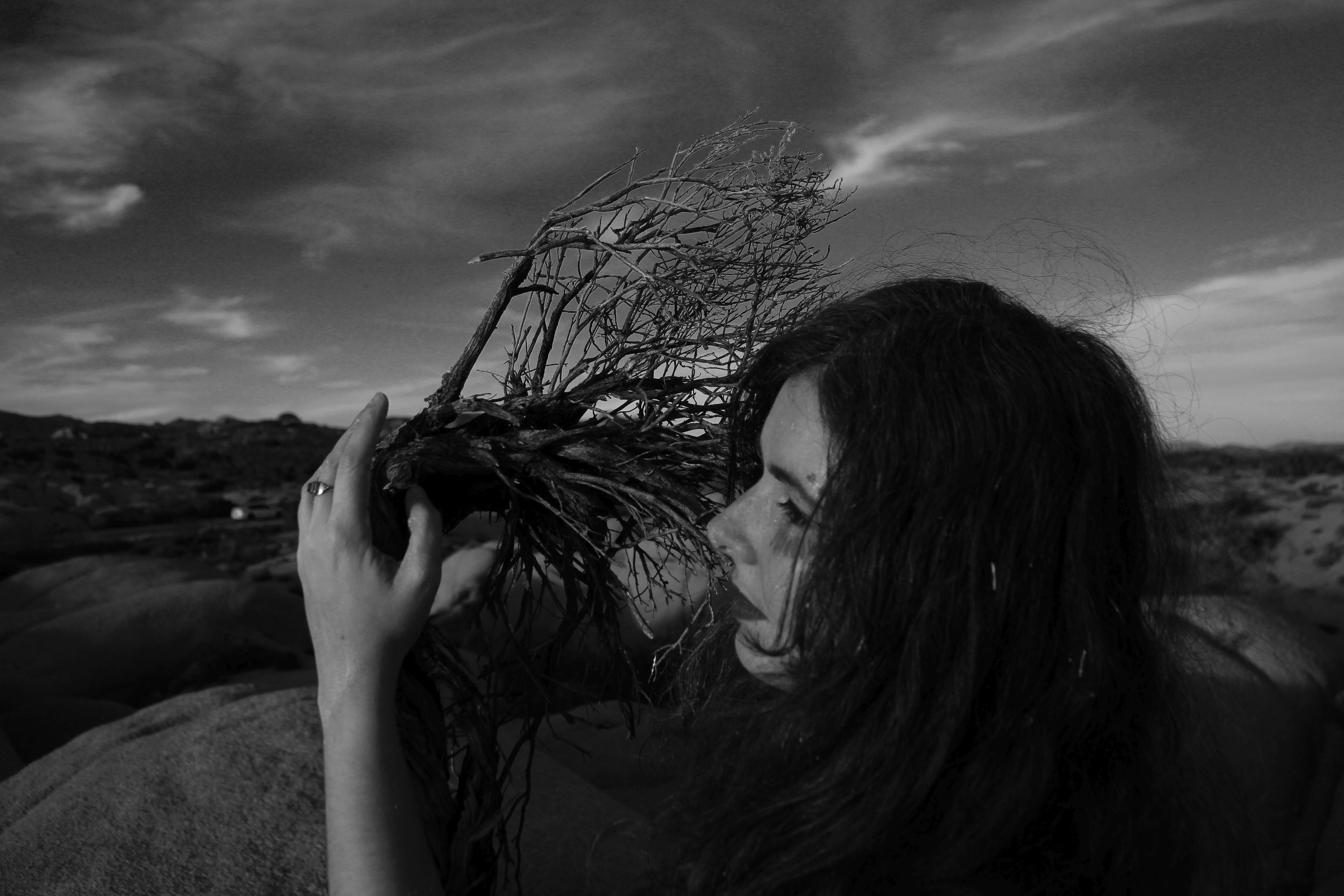 15 Questions Interview Wild Anima The Ecology Of Emotions